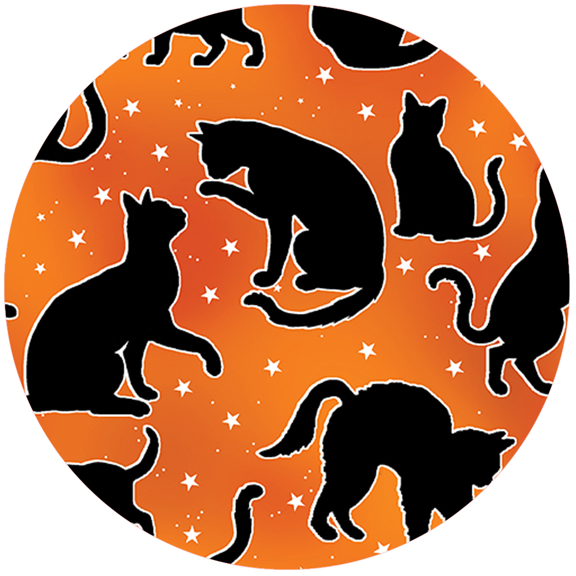 Spooky Cats Andreas B2B Spooky Cats Andreas B2B